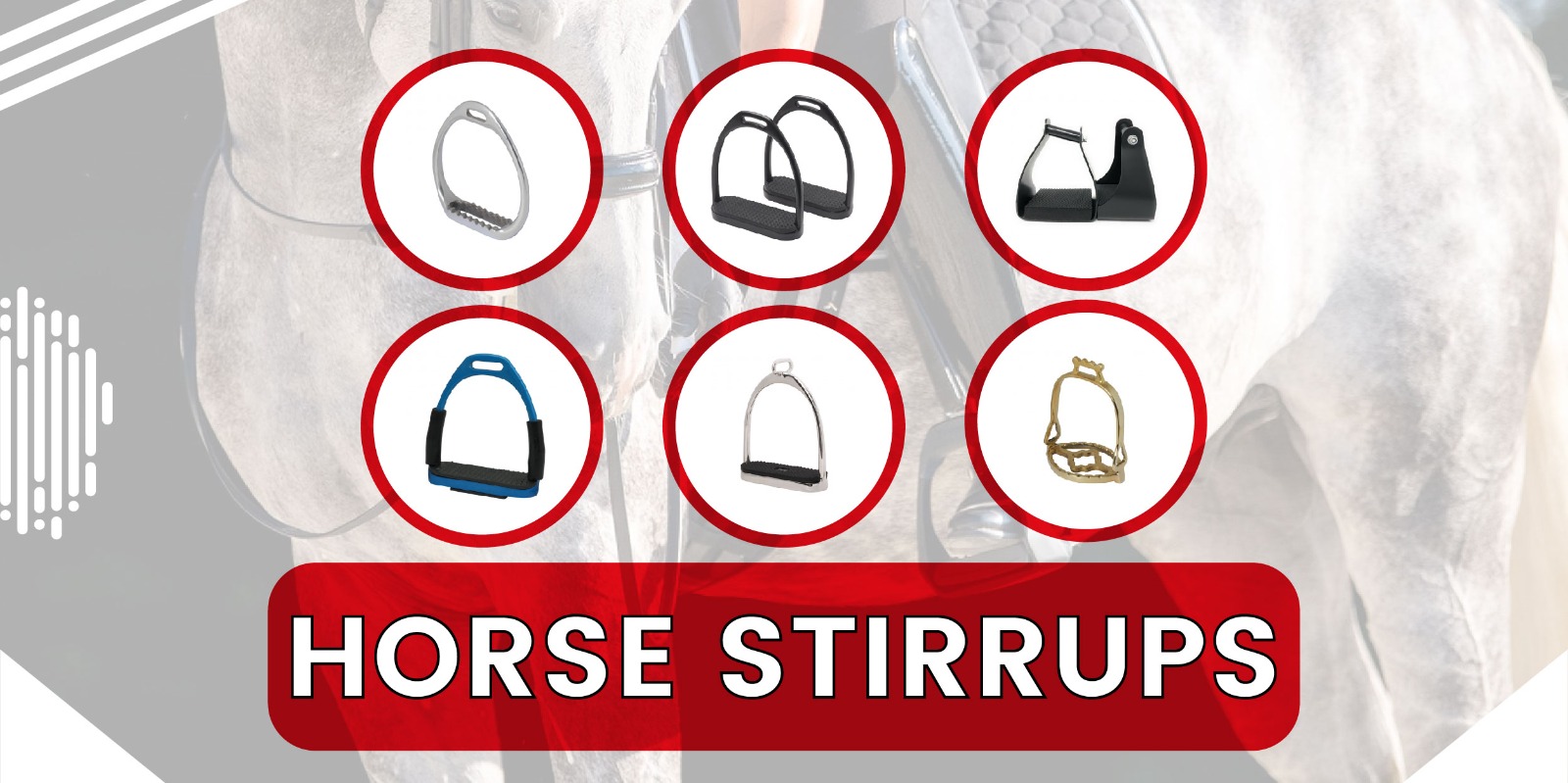 Clarm Horse Equestrain