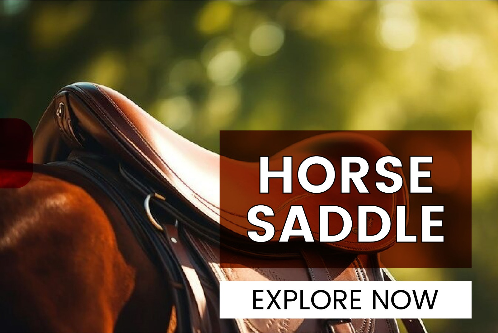 Clarm Horse Equestrain