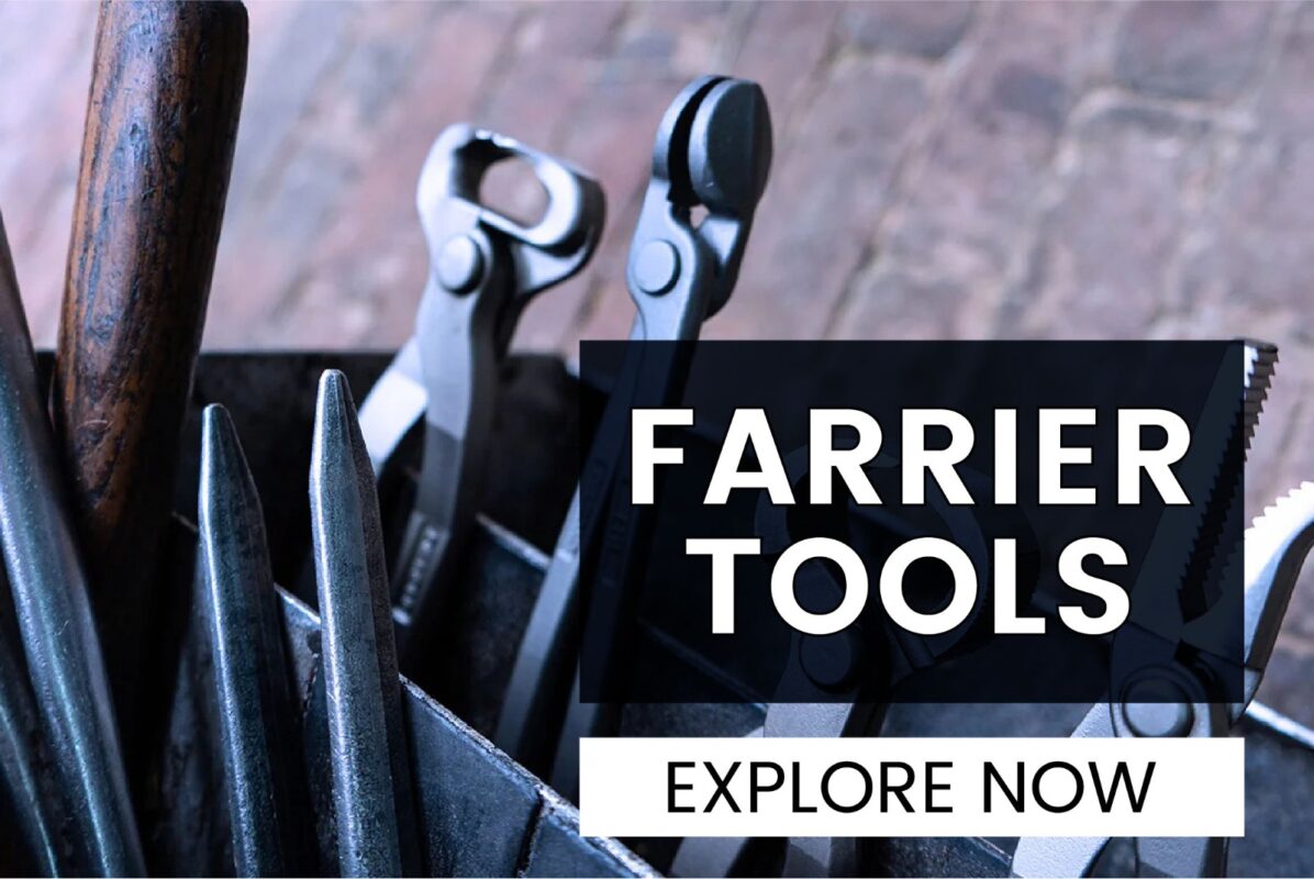 Clarm Horse Equestrain