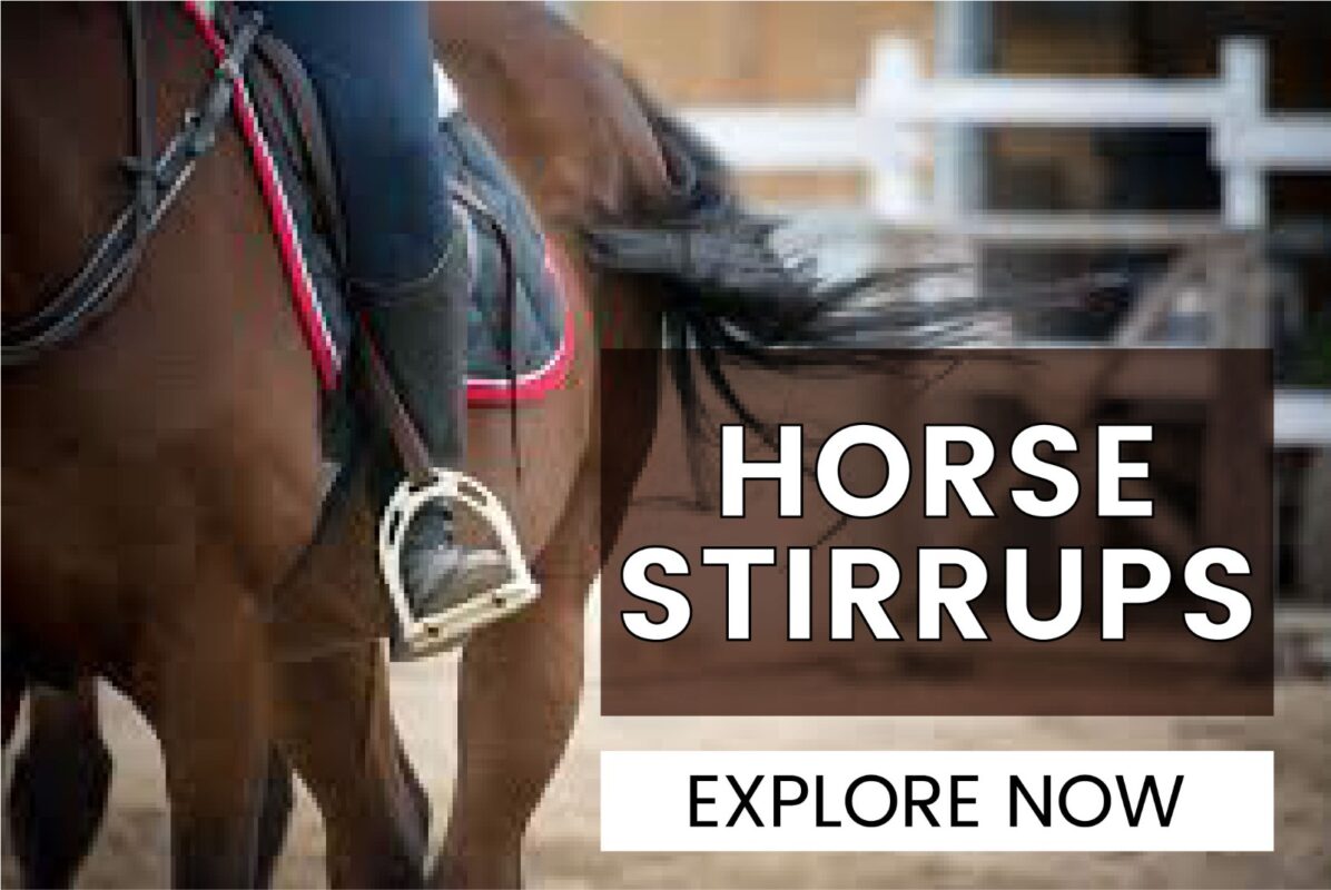 Clarm Horse Equestrain