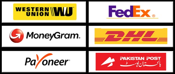 Clarm Horse Equestrain